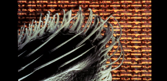 How much 300mm Semiconductor Wafer Development Cost?